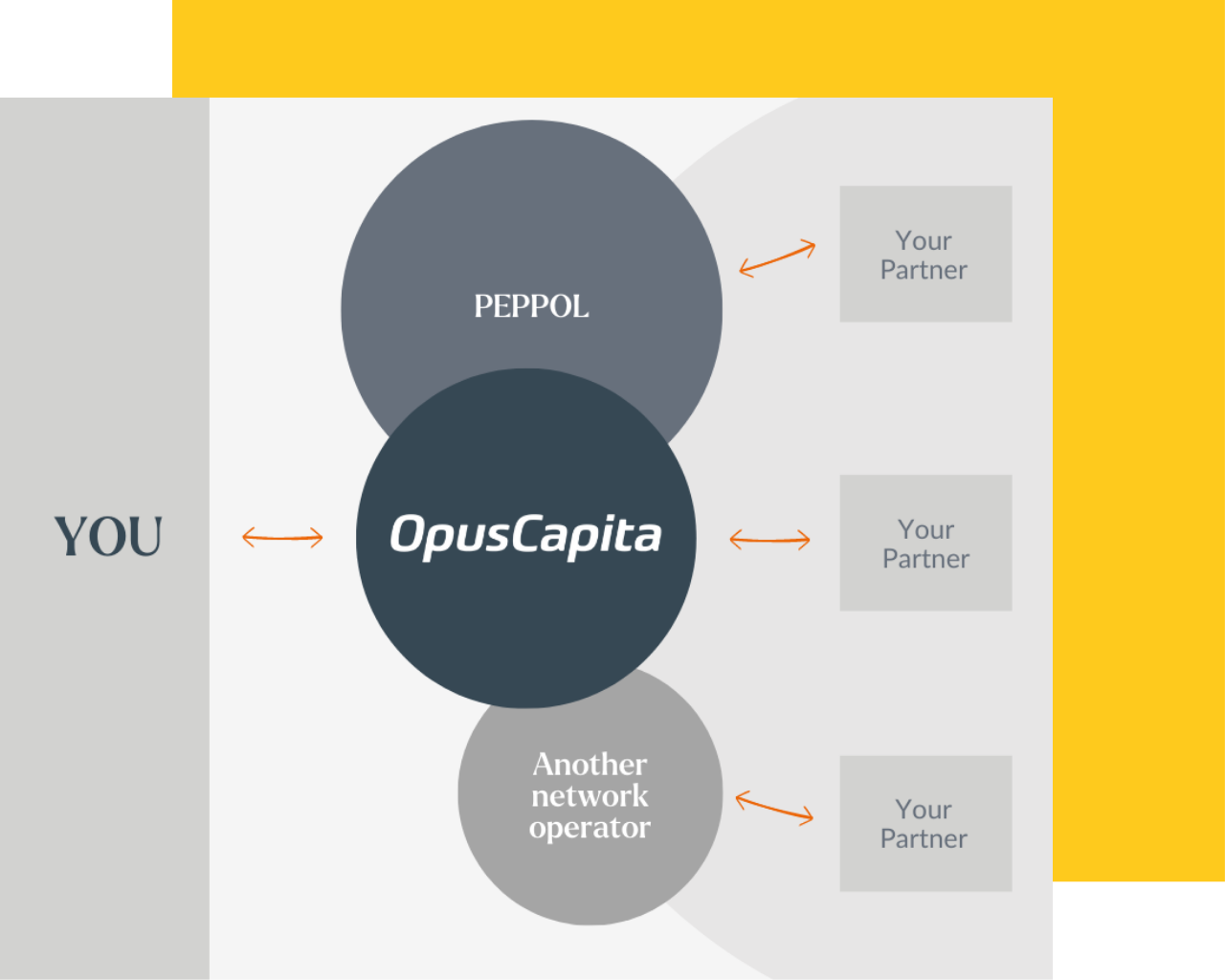 Network Interoperability